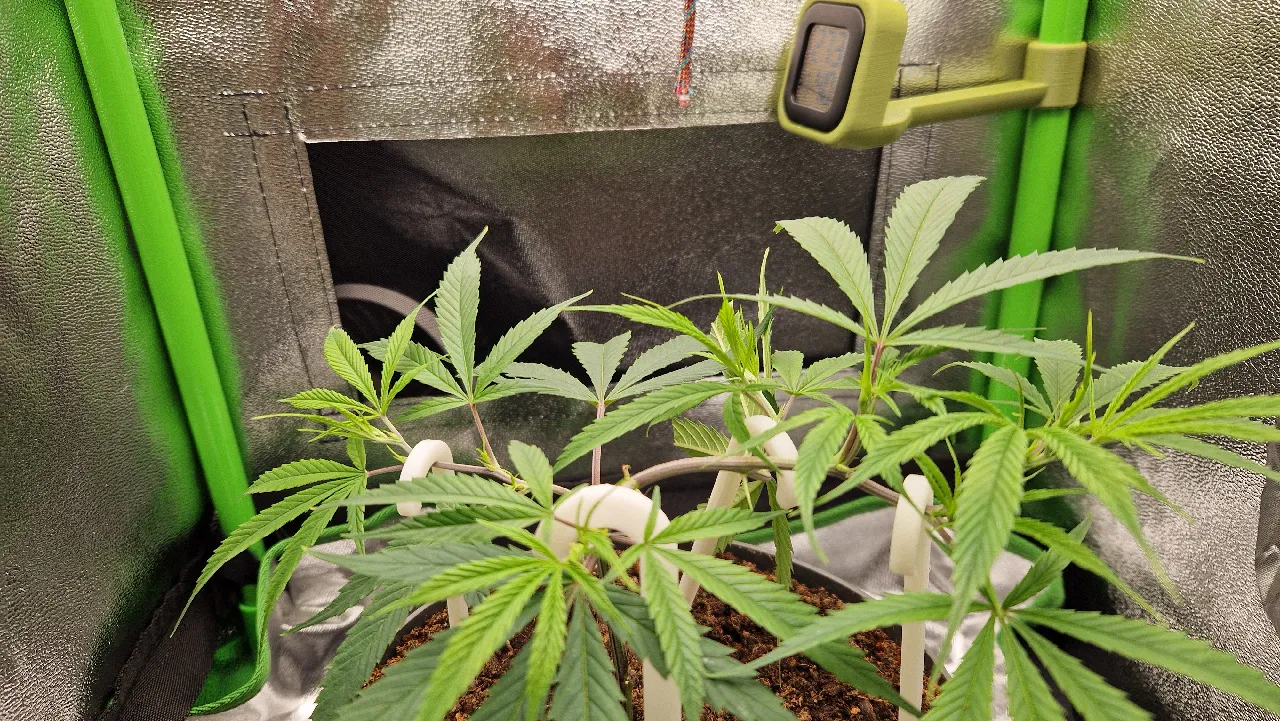 LST sticks by fonzy | Download free STL model | Printables.com