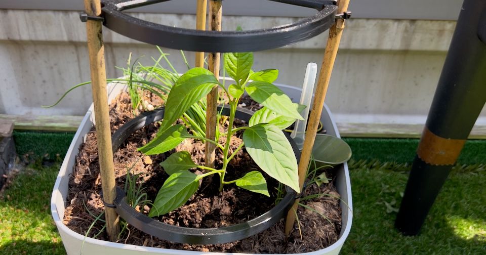 Scalable Plant Support Trellis by Wayne | Download free STL model ...