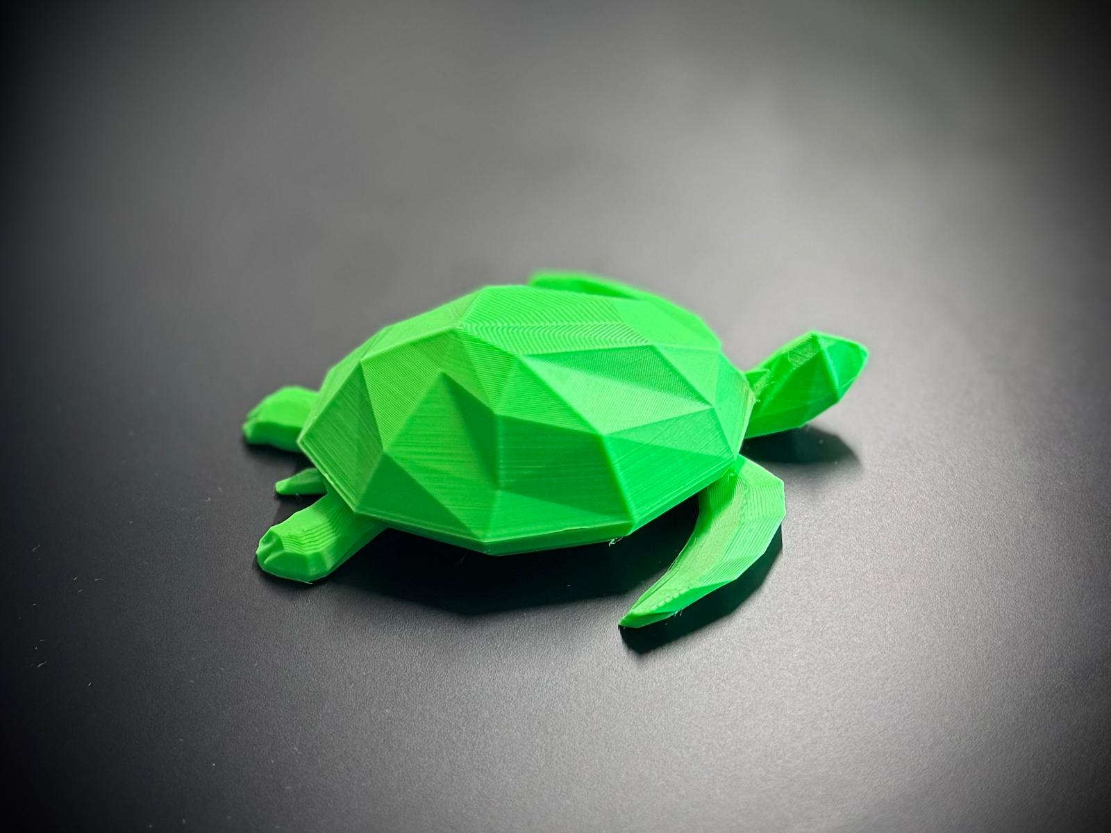 Low Poly Turtle With Compartment by Mako3D | Download free STL model ...