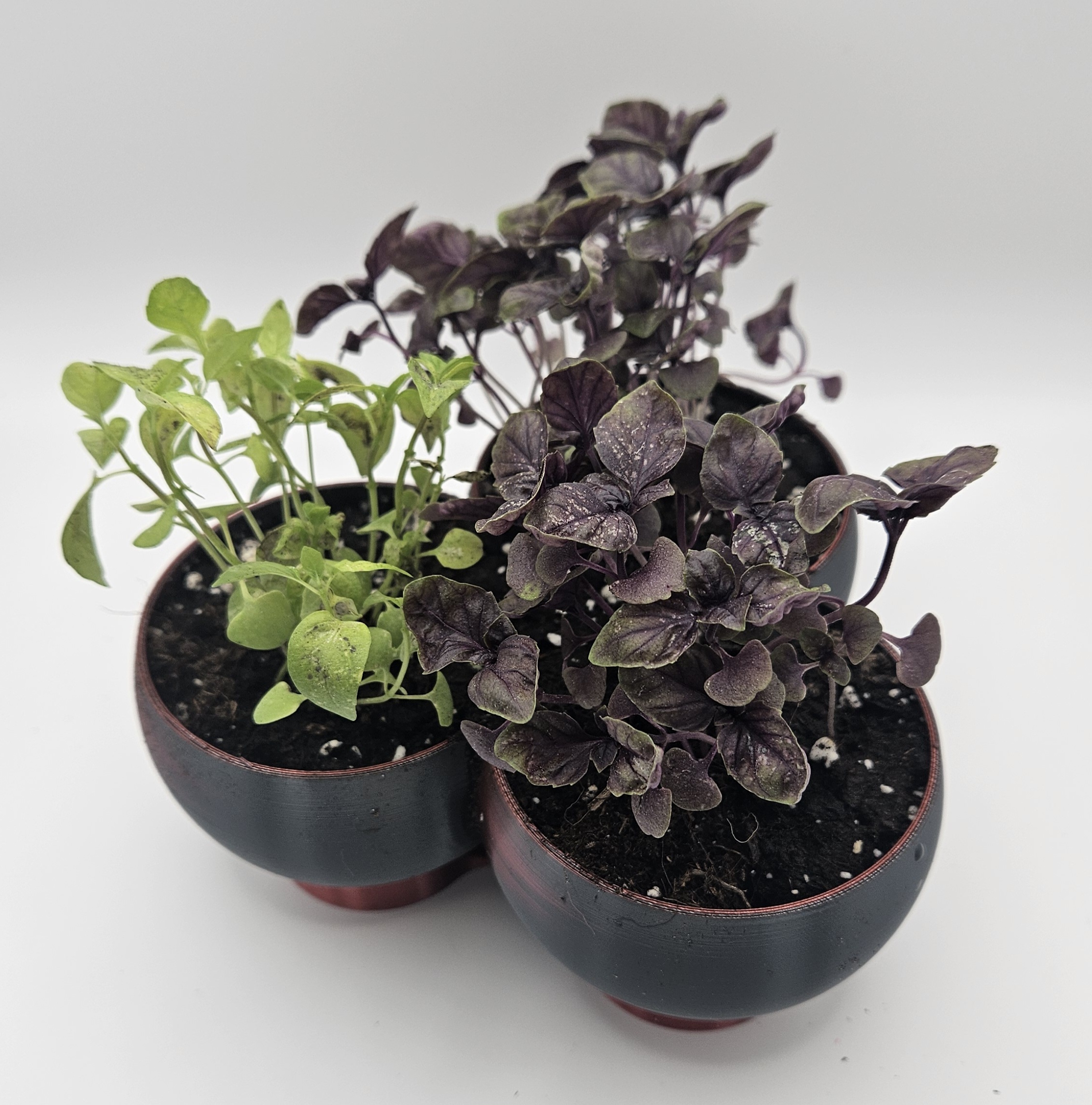 Plant pot - triple by prusieck | Download free STL model | Printables.com
