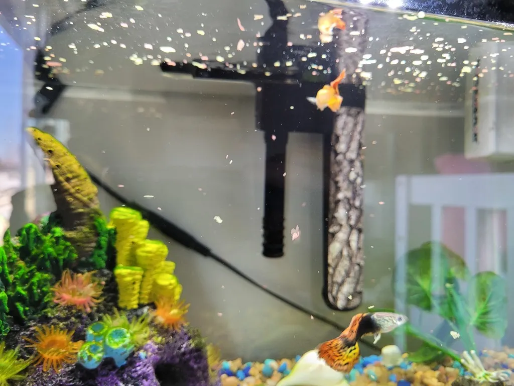 automatic fish feeder for flakes