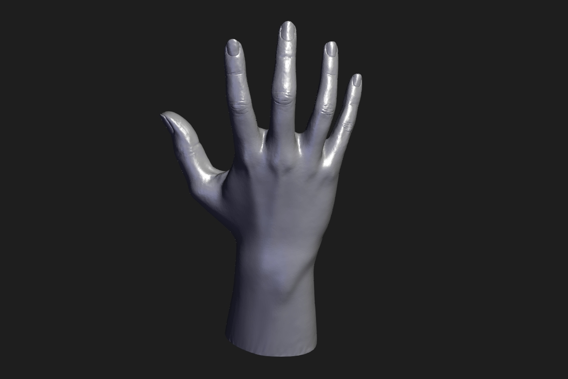 Hand - 3D Scanned by Revopoint MIRACO by Revopoint 3D | Download free ...