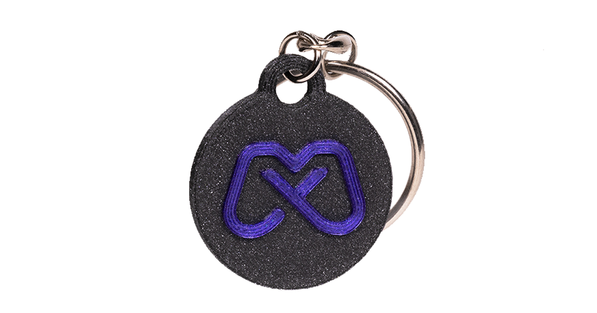 MasterXP Keychain by MasterXP | Download free STL model | Printables.com