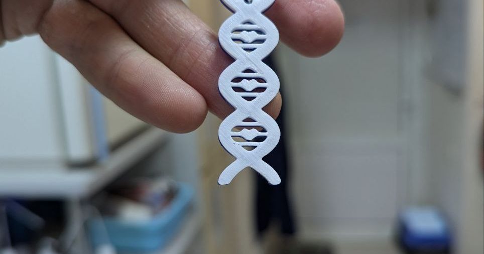 KeyChain DNA by Антон Зверев | Download free STL model | Printables.com