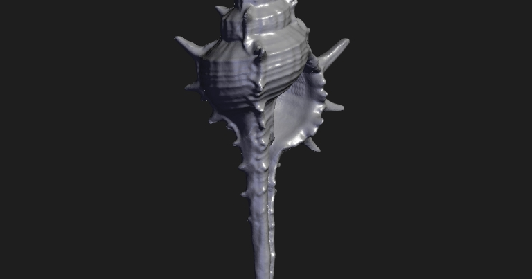Seashell - 3D Scanned by Revopoint MINI 2 3D Scanner by Revopoint 3D ...