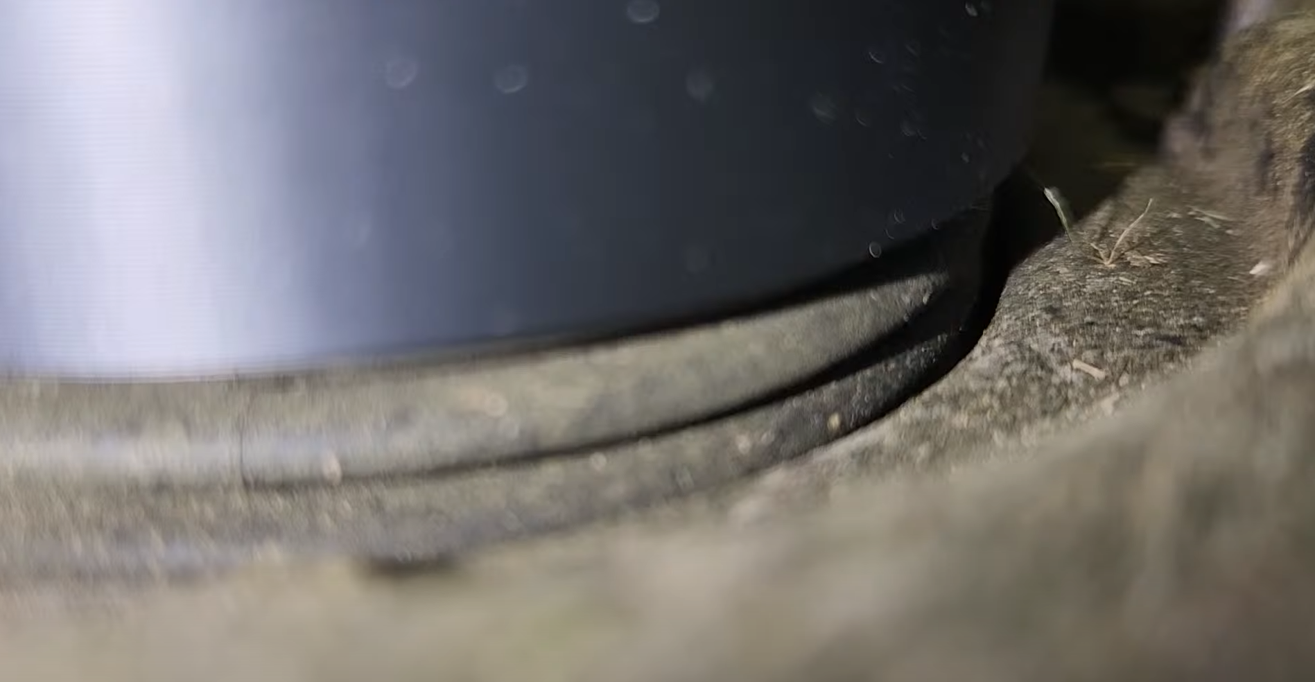 Luba Disc Seal by Joel | Download free STL model | Printables.com