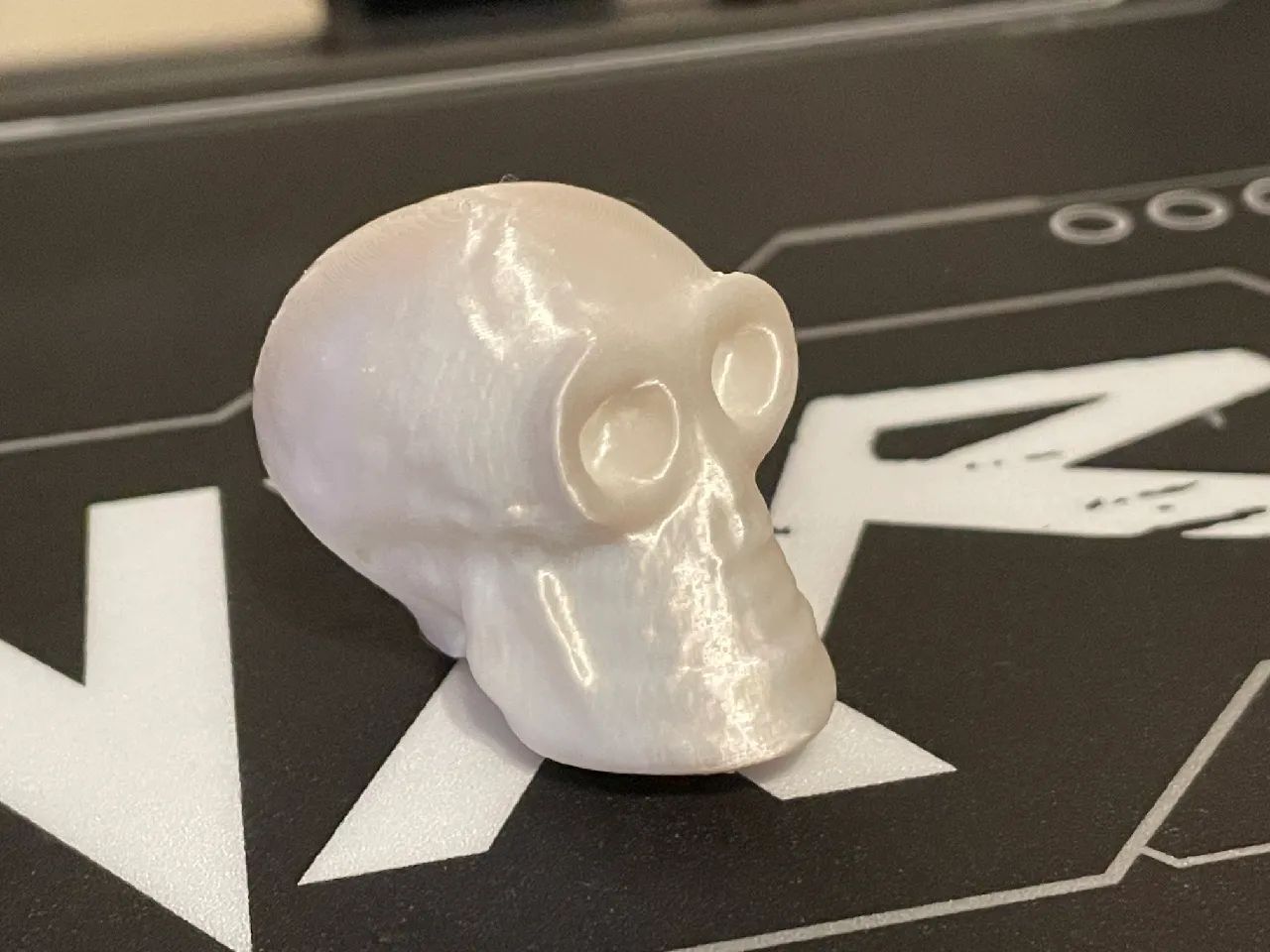 Small Skull by Zack Ronald | Download free STL model | Printables.com