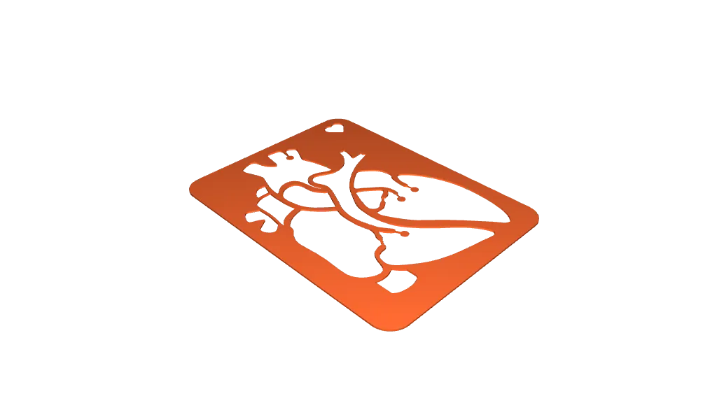 Cardiac Anatomy Template by Enhe | Download free STL model | Printables.com