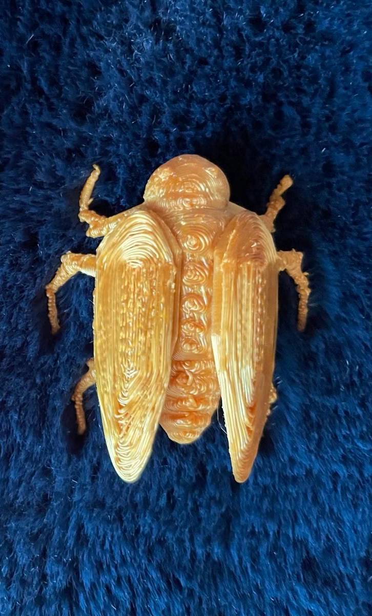 Cicada Charm / Croc Charm by Linnèa | Download free STL model ...