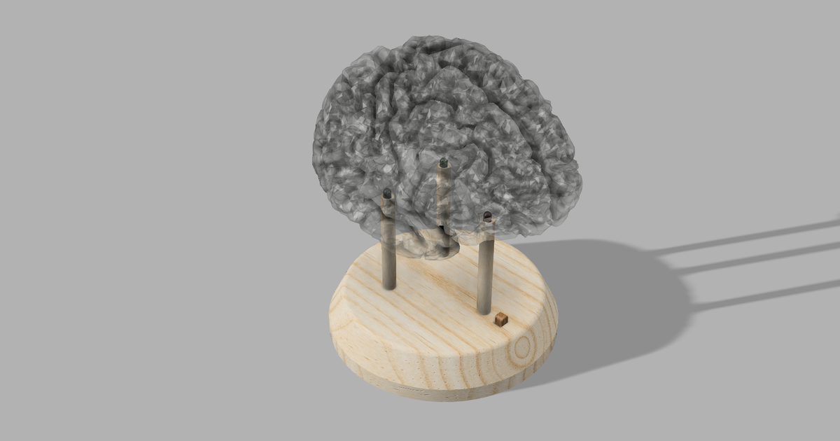 Lámpara de cerebro RGB / RGB Brain Lamp by Barbu96 | Download free STL model | Printables.com