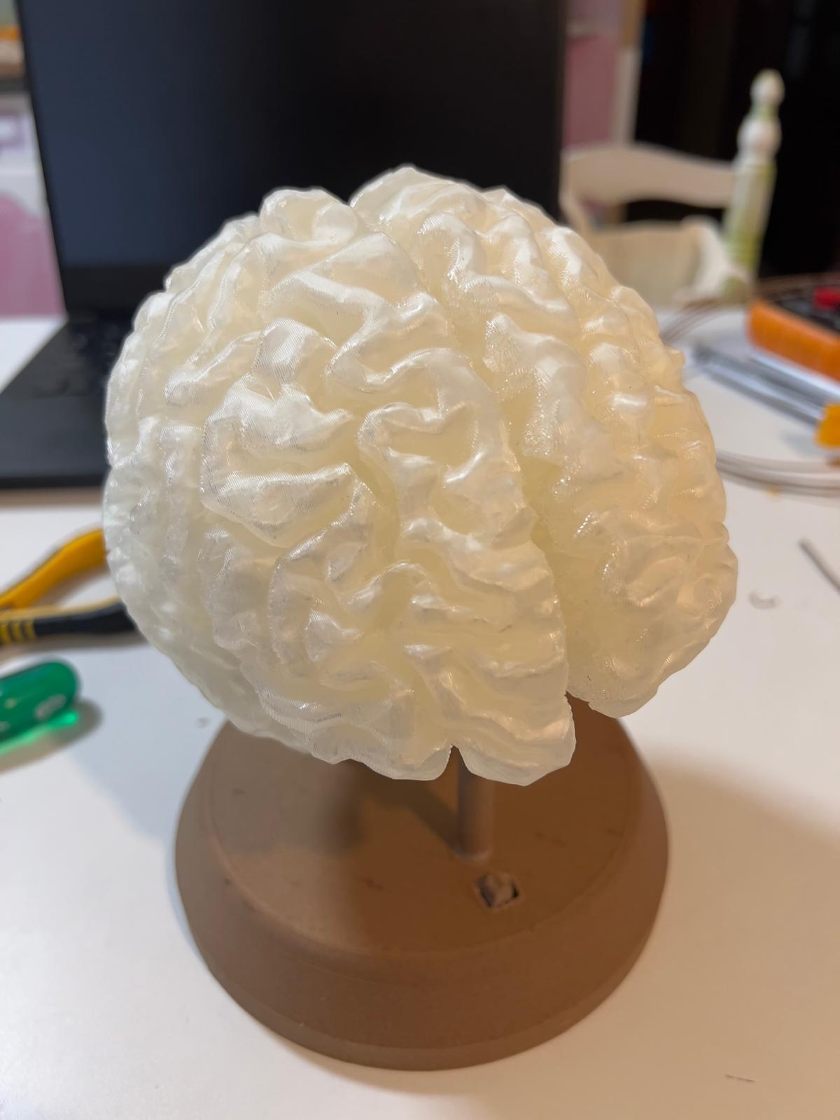 Lámpara de cerebro RGB / RGB Brain Lamp by Barbu96 | Download free STL model | Printables.com