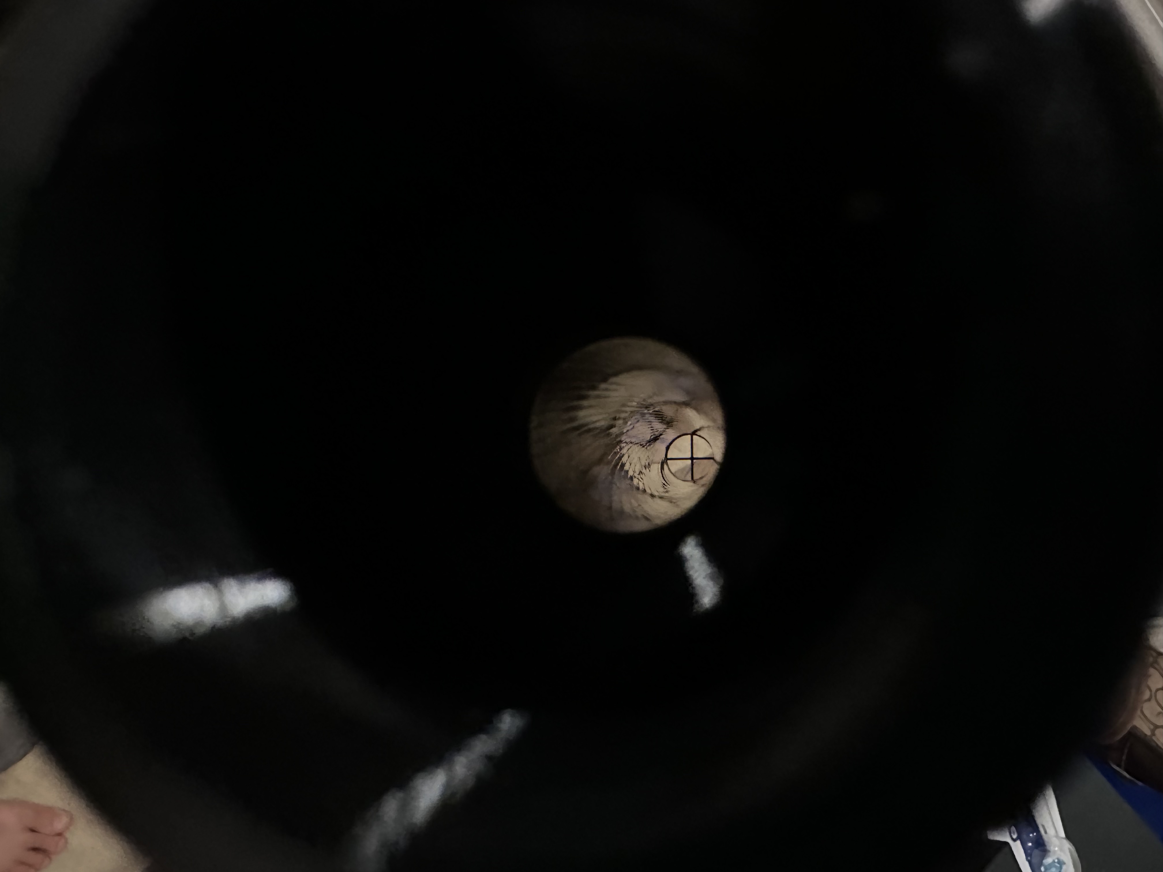 Silly Scope 19MM Worker Tube Variant by racerethan | Download free STL ...