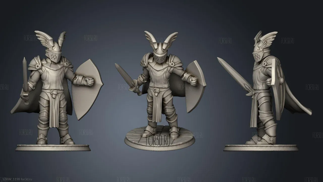 Heroforge paladin by Random mtb guy | Download free STL model ...