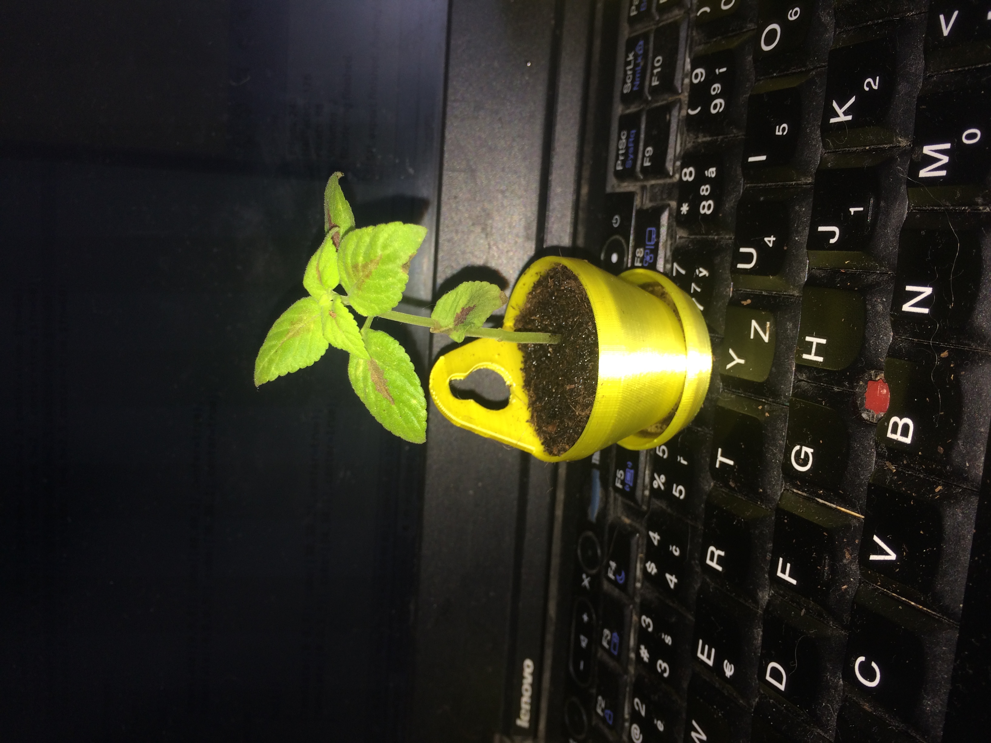 Small flower pots by SHR3D.eu | Download free STL model | Printables.com