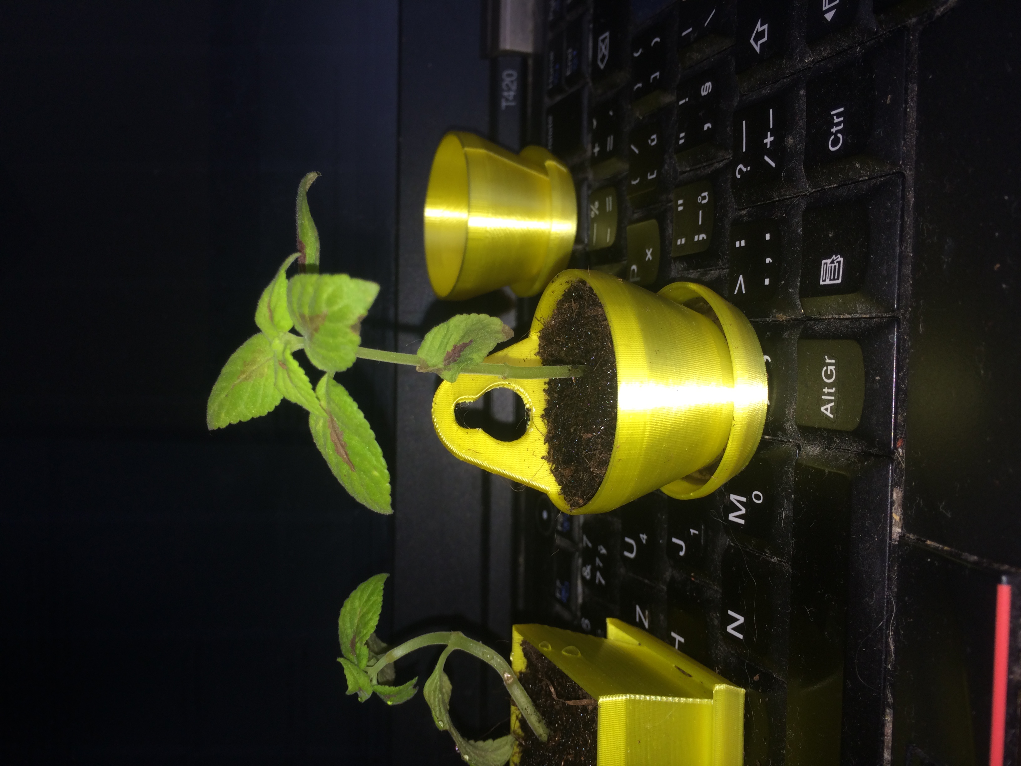 Small flower pots by SHR3D.eu | Download free STL model | Printables.com