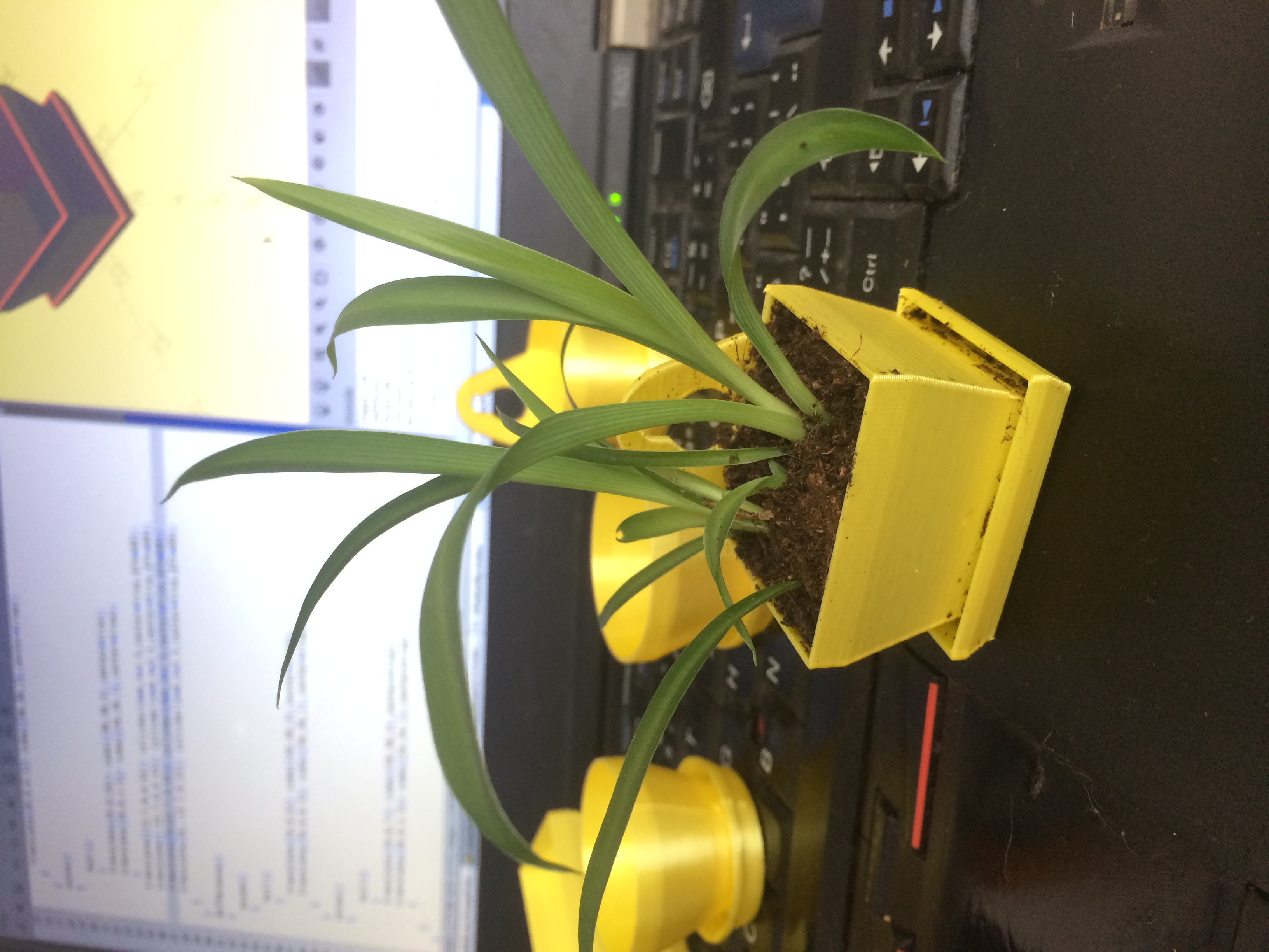 Small flower pots by SHR3D.eu | Download free STL model | Printables.com