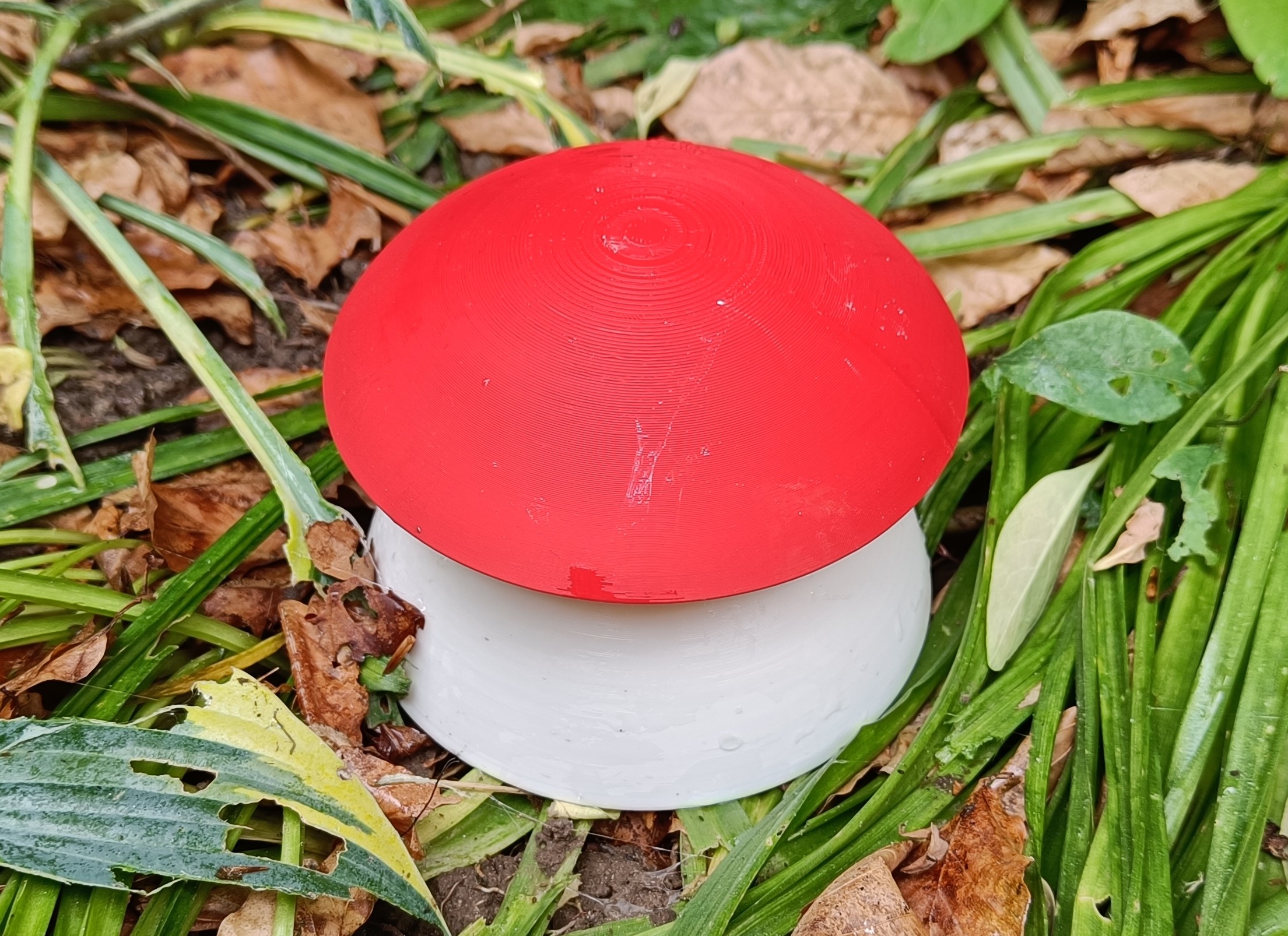 Mushroom Slug Trap by Jef | Download free STL model | Printables.com