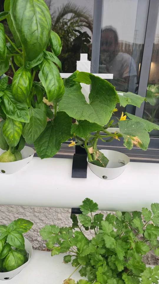 Modular stackable hydroponic trellis by Tal Yahav Badishi | Download ...