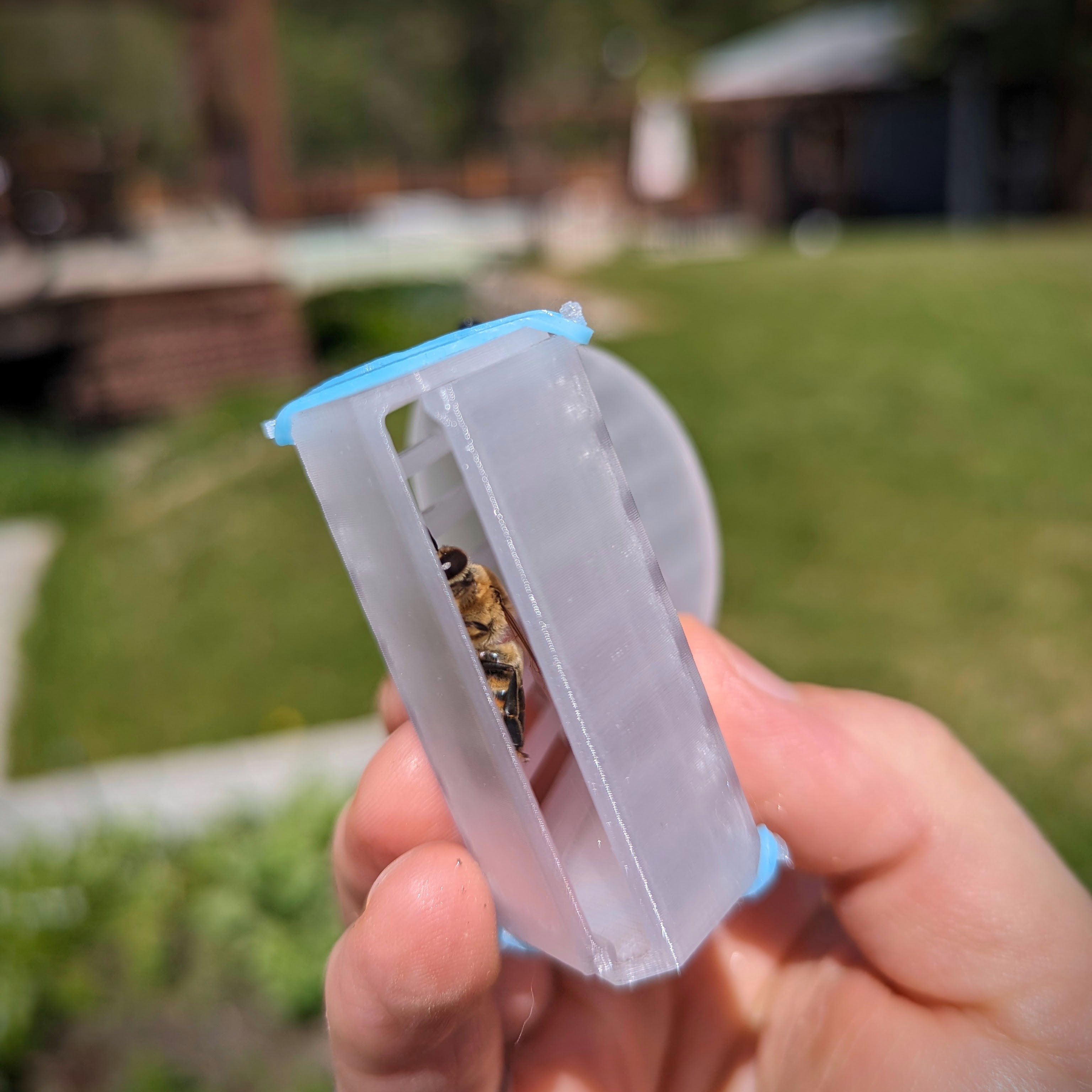 Bee Saver (Queen Clip) by Ian Foulds | Download free STL model ...