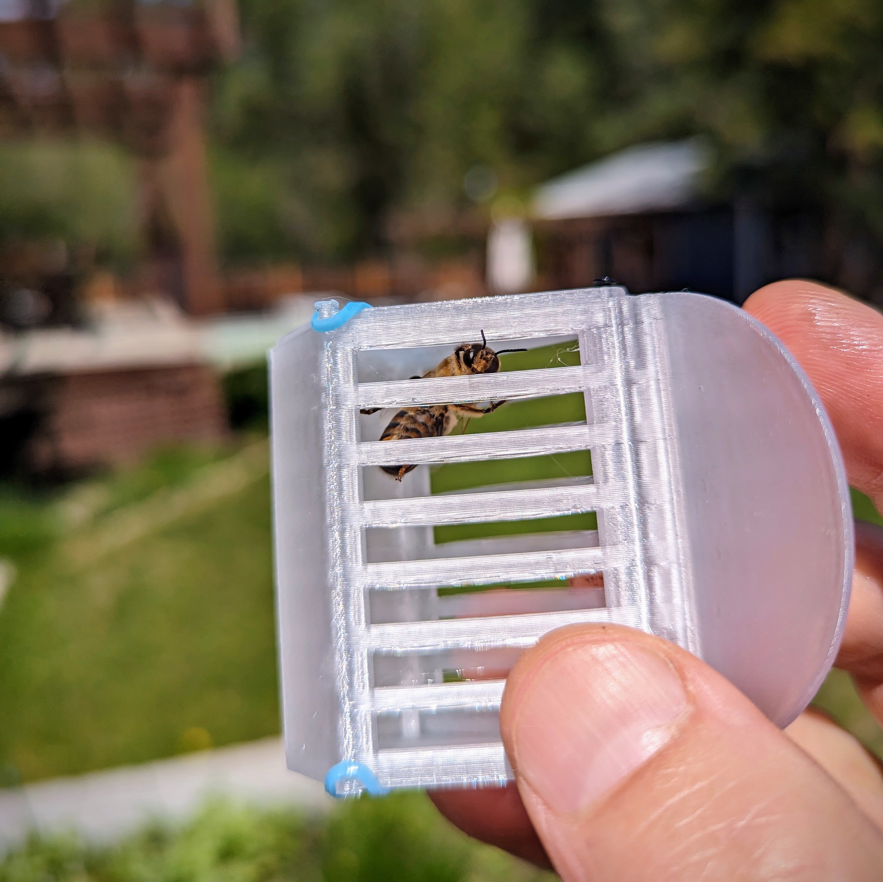 Bee Saver (Queen Clip) by Ian Foulds | Download free STL model ...