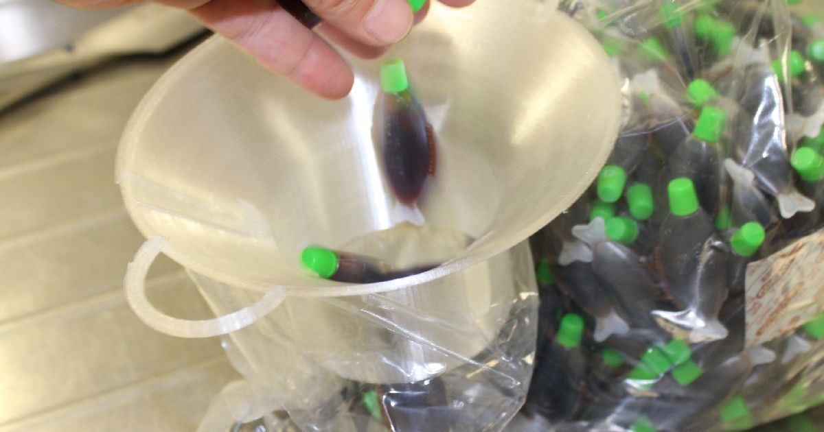 Bag Funnel by moWerk | Download free STL model | Printables.com