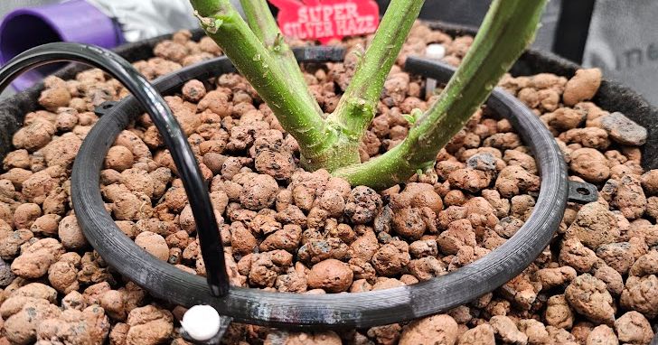 190mm drip irrigation ring / halo by Anivia | Download free STL model ...