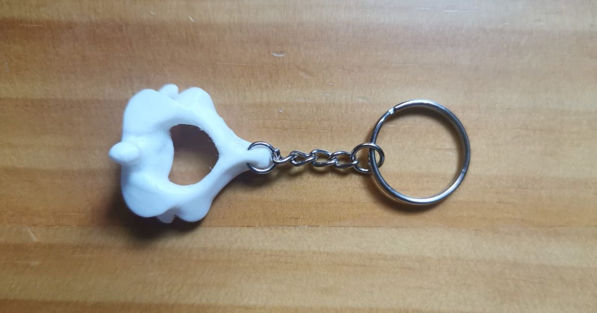 Vertebra Keychain by Dexelon | Download free STL model | Printables.com