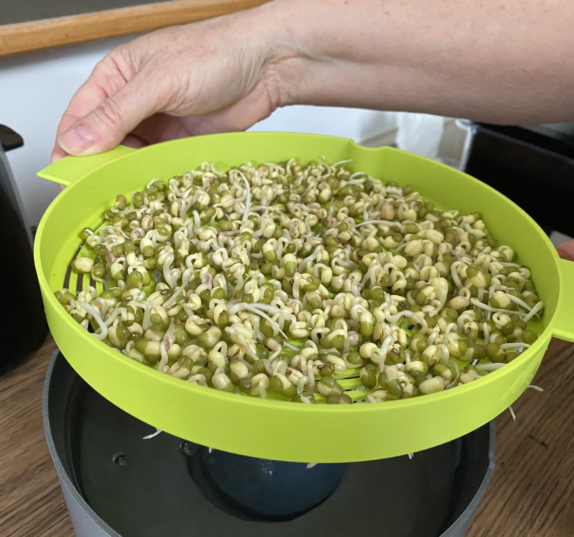 Mung Bean Bubbleponics Sprouter by Sascha Uncia | Download free STL ...