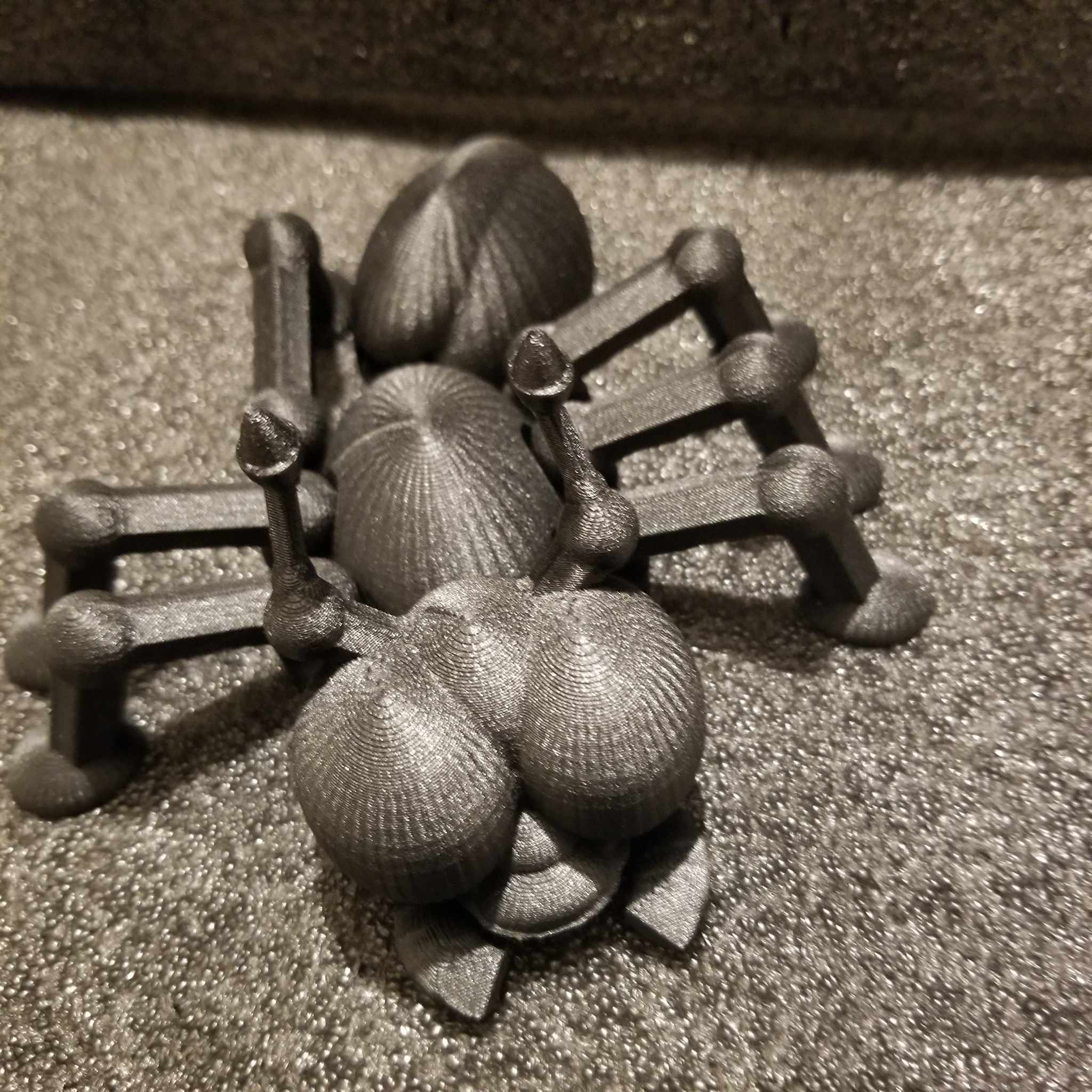 Shakaworld3d Articulated Ant/Bug fidget by Shakaworld3D | Printables Store