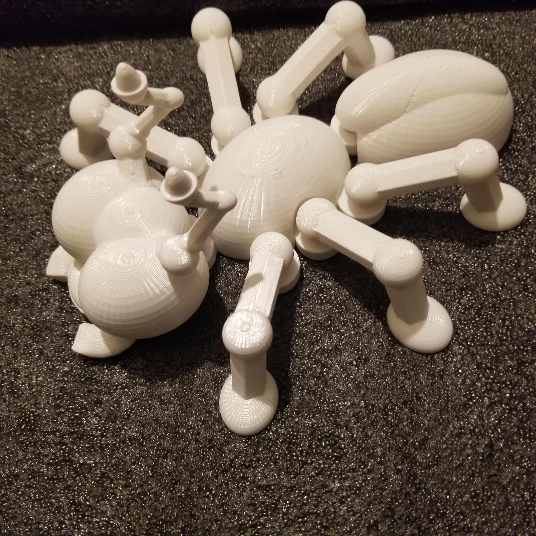 Shakaworld3d Articulated Ant/Bug fidget by Shakaworld3D | Printables Store