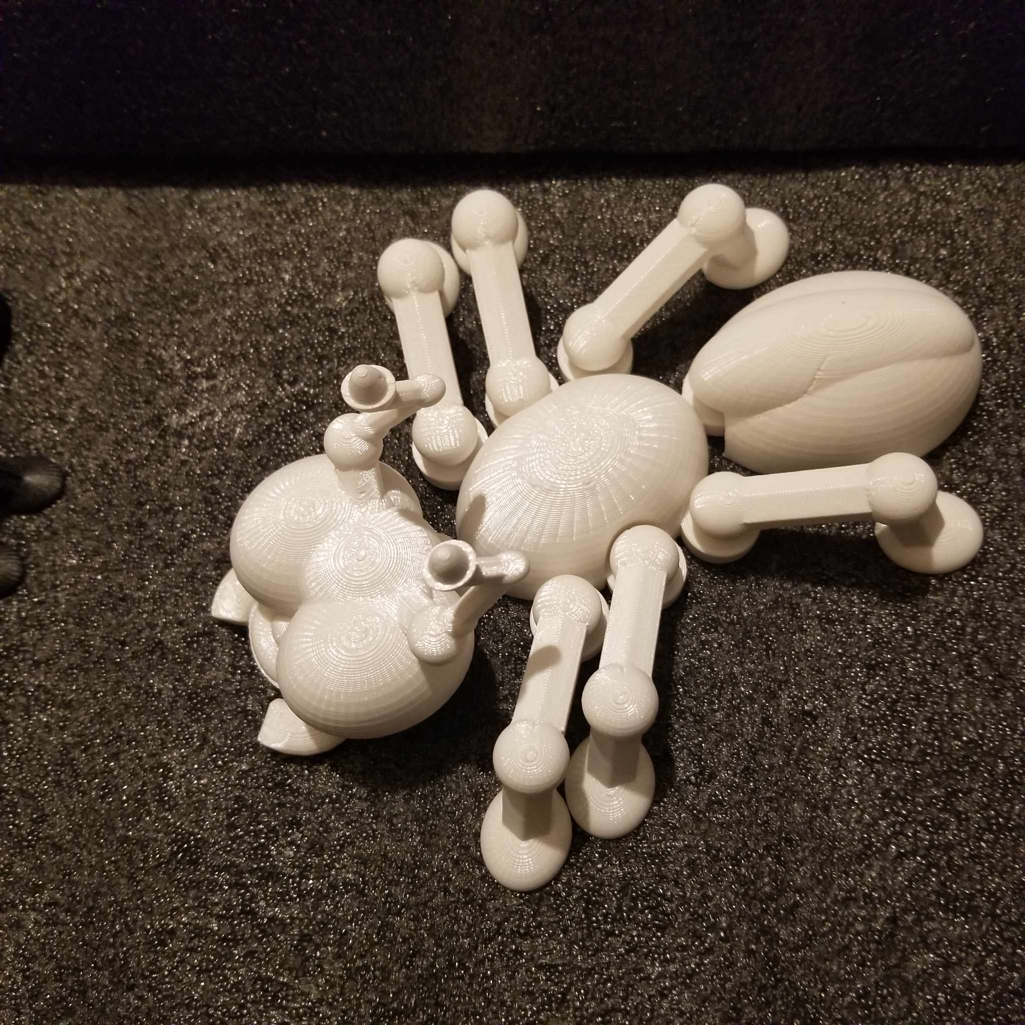 Shakaworld3d Articulated Ant/Bug fidget by Shakaworld3D | Printables Store