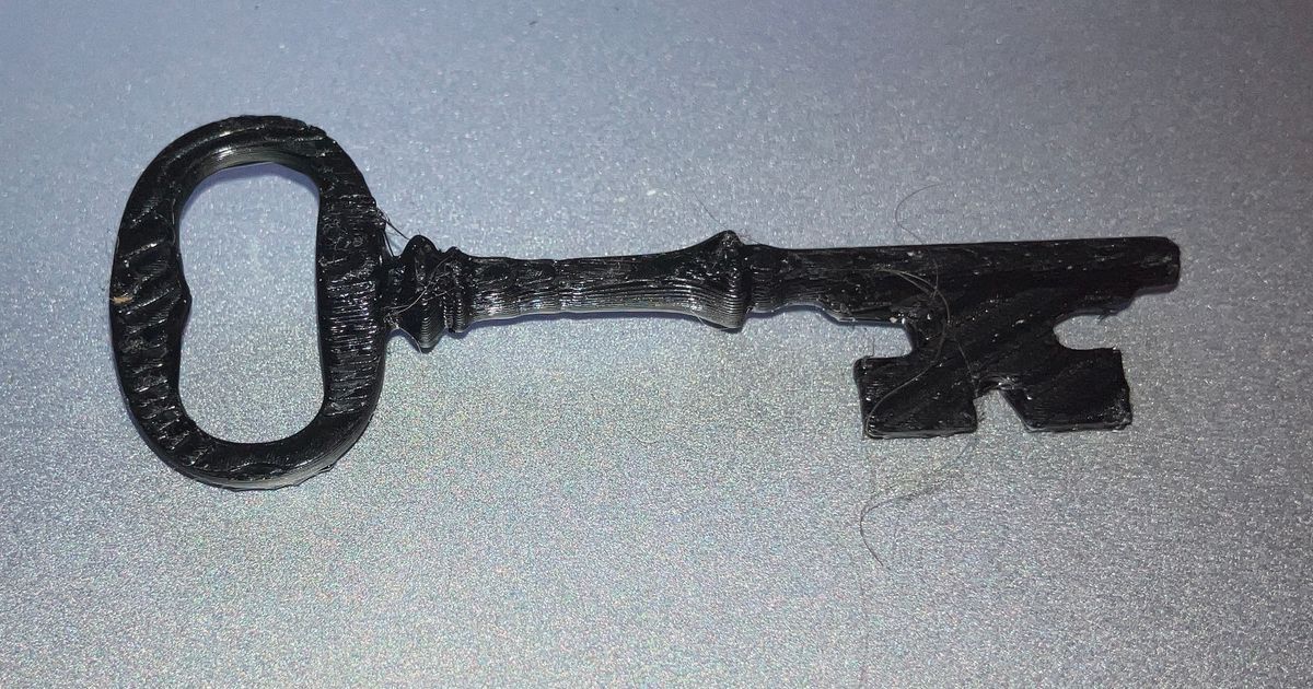 Skeleton Key by Omri_Makes | Download free STL model | Printables.com