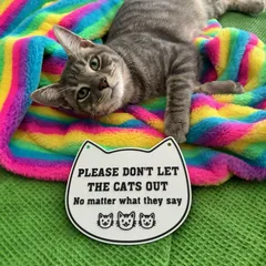 Warning Sign: Don't Let the Cats Out by Spikeon Studio | Download free ...