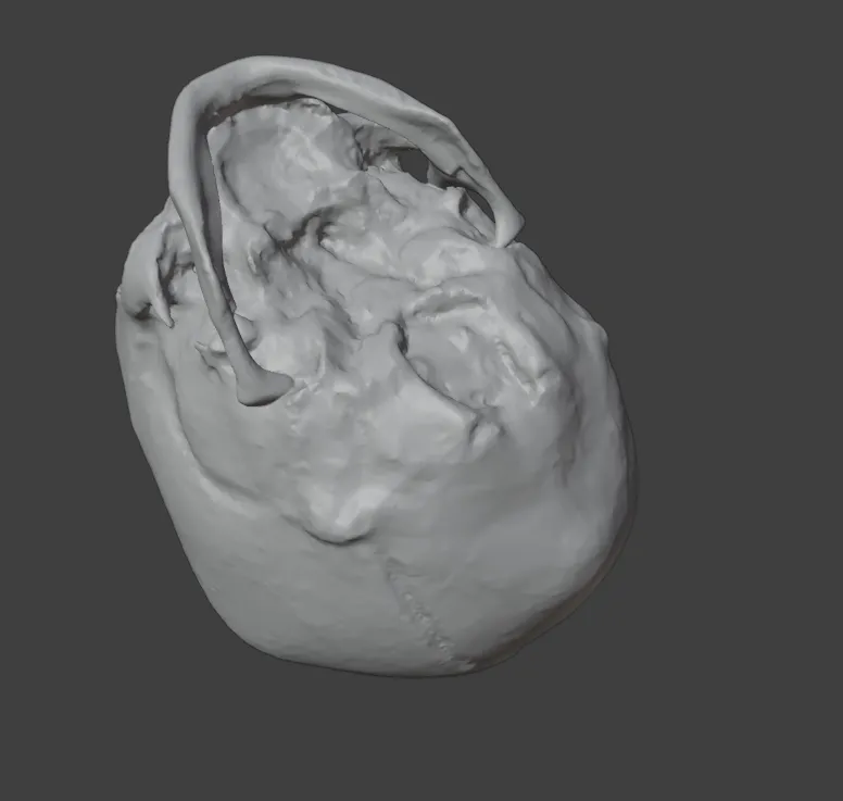 Newborn Baby Skull by Skeleton Dan | Download free STL model ...