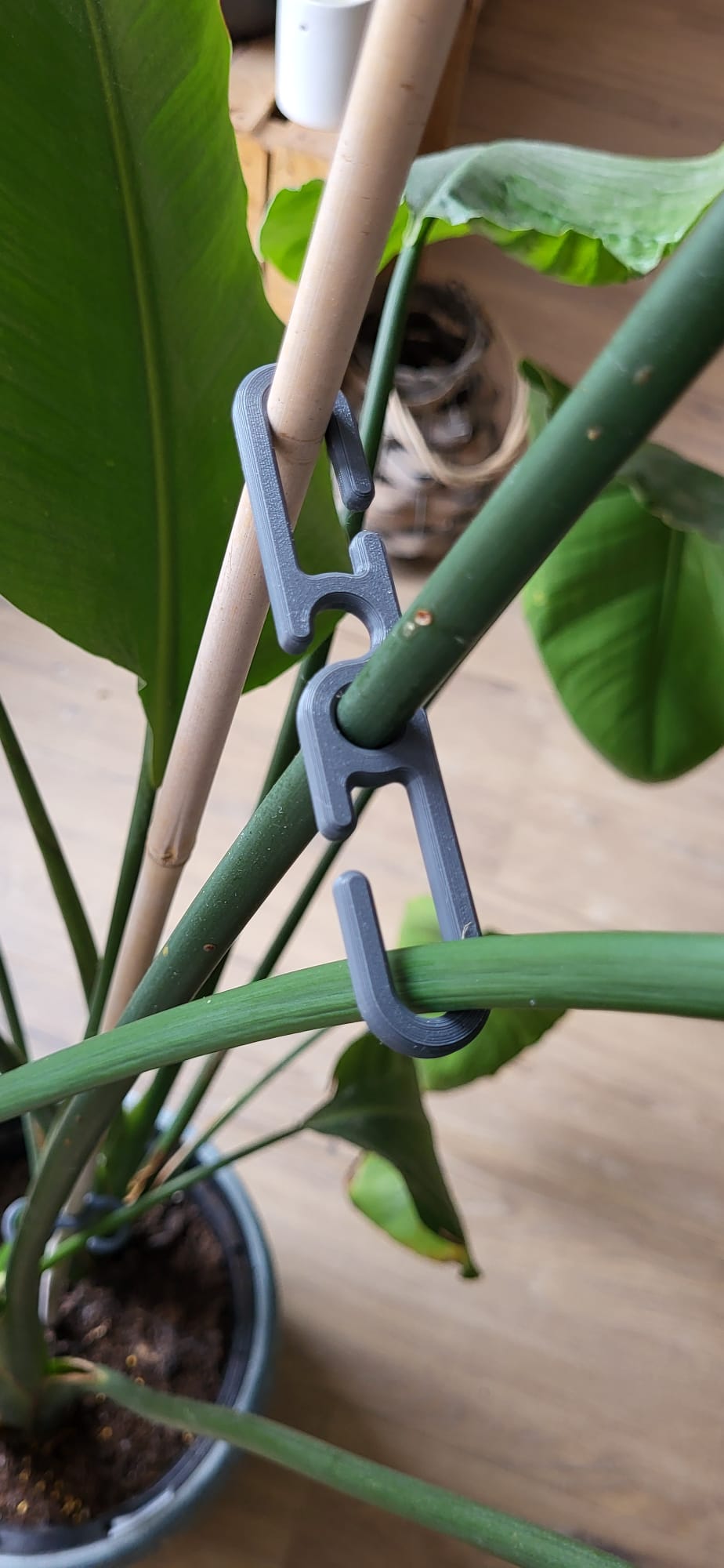 Plant hooks by Ted van de Peppel | Download free STL model | Printables.com