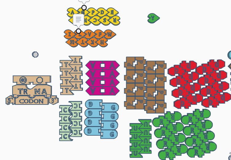 Magnetic DNA / RNA Manipulative Set by 3D-PT | Download free STL model ...