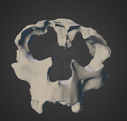 Homo antecessor by Adam Hanzlíček | Download free STL model ...