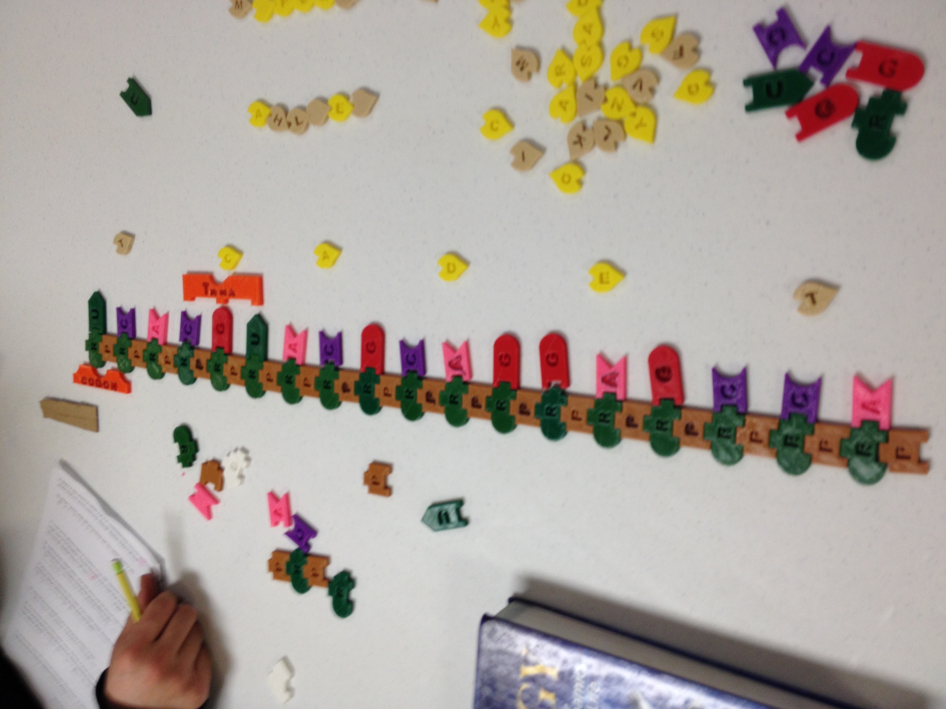 Amino Acids Expansion Set by 3D-PT | Download free STL model ...