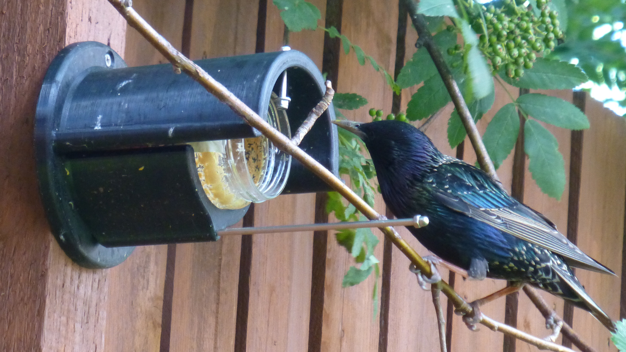 Peanut Butter Garden Bird Feeder by The Recreational Machinist ...