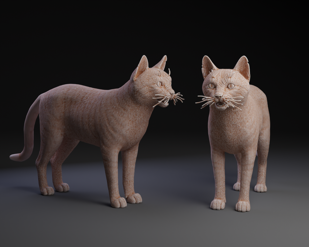 Stray Cat by Peter Farell | Download free STL model | Printables.com