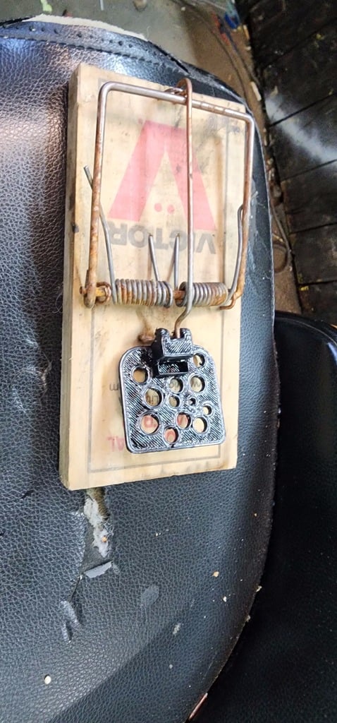 Rat trap plate by Gaabstakiller96 | Download free STL model ...