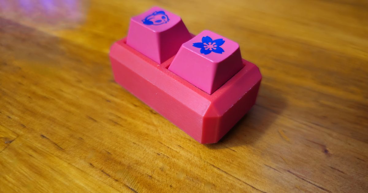 Double Mechanical Switch Fidget Toy by Btm | Download free STL model ...