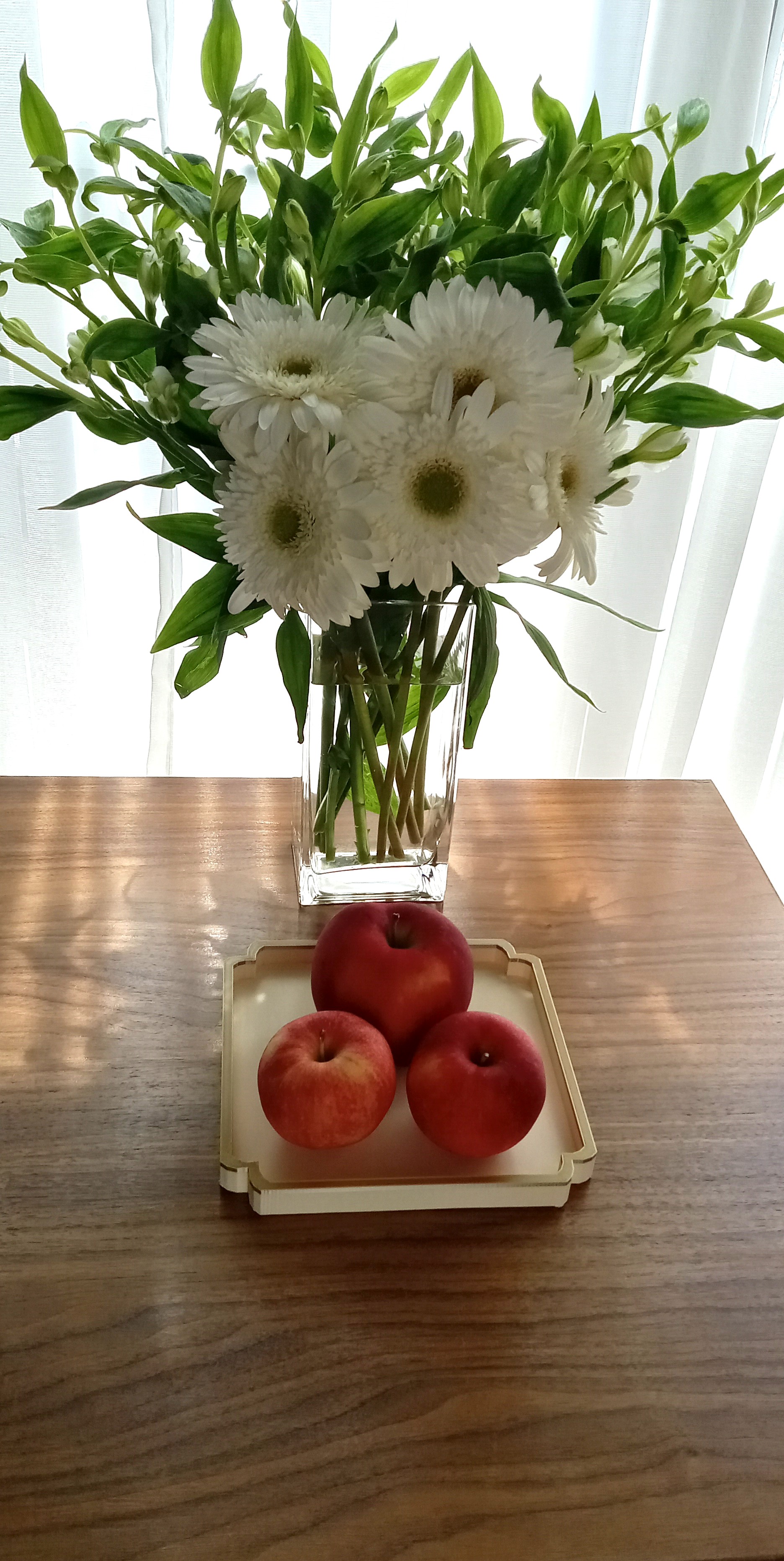 Round Corners Tray by cSandra | Download free STL model | Printables.com