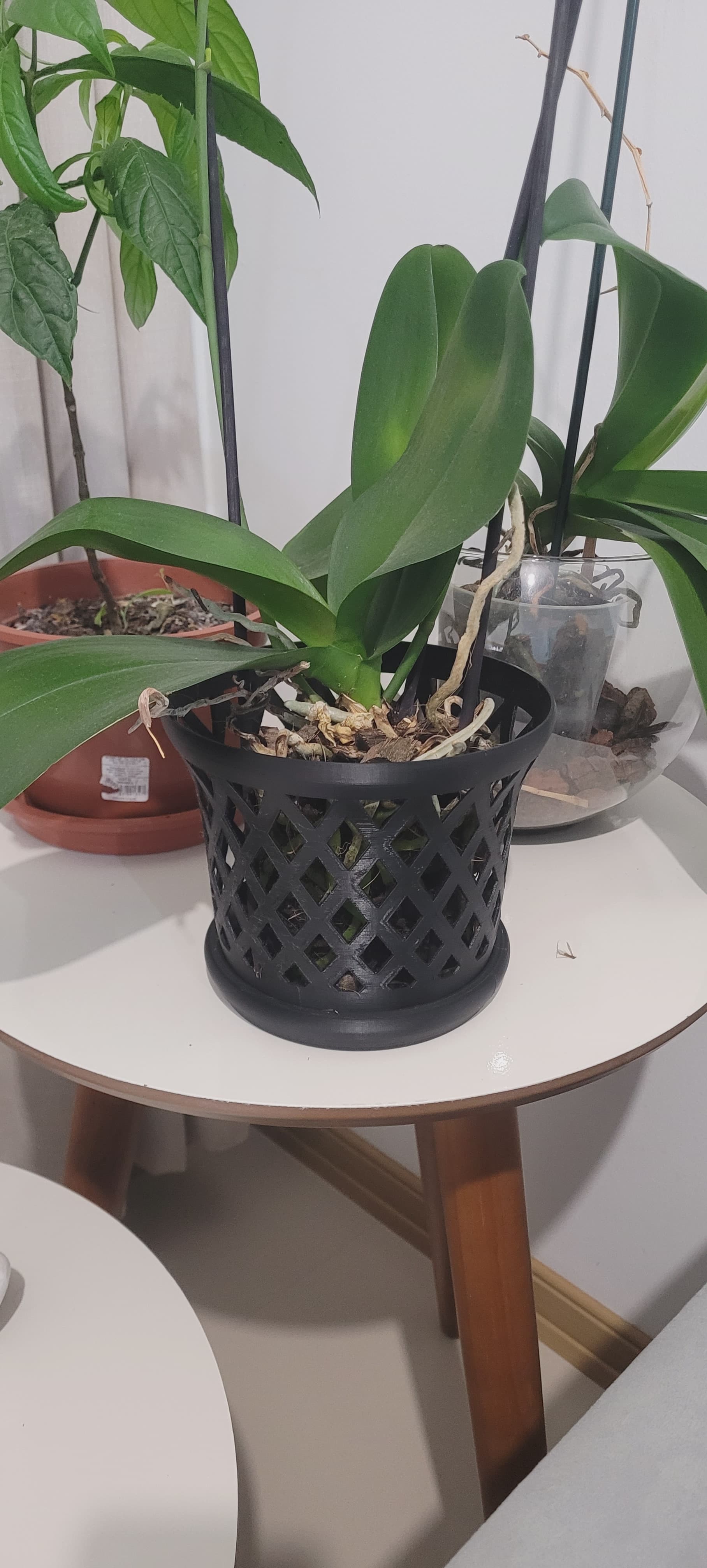 Orchid Pot by Cristian Chies | Download free STL model | Printables.com