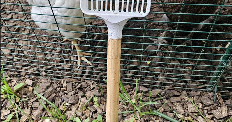 Chicken Pooper Scooper by defsdoor | Download free STL model ...