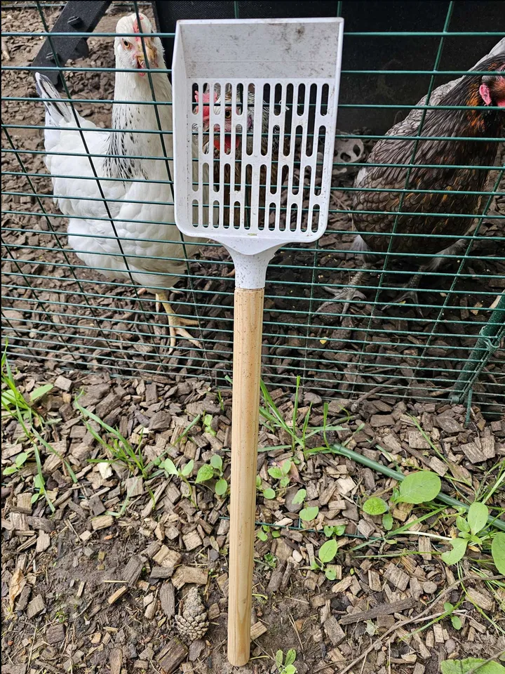 Chicken Pooper Scooper by defsdoor | Download free STL model ...