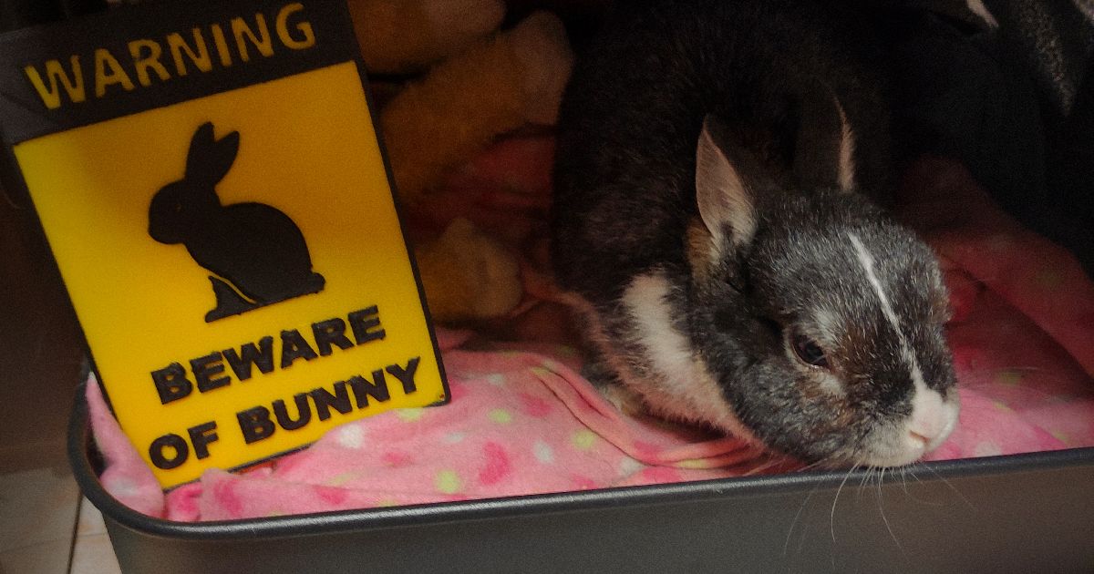 dangerous bunny sign by Armored wolf | Download free STL model ...