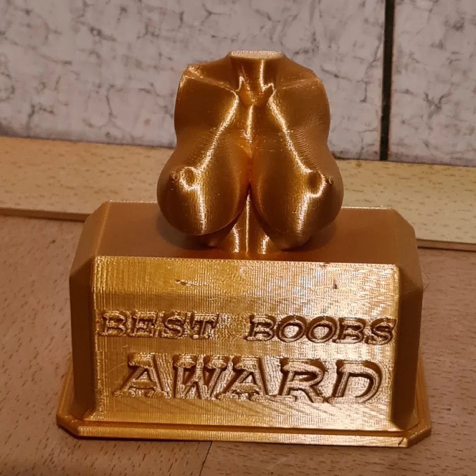 Best Boobs Award by Claptomancy | Download free STL model | Printables.com