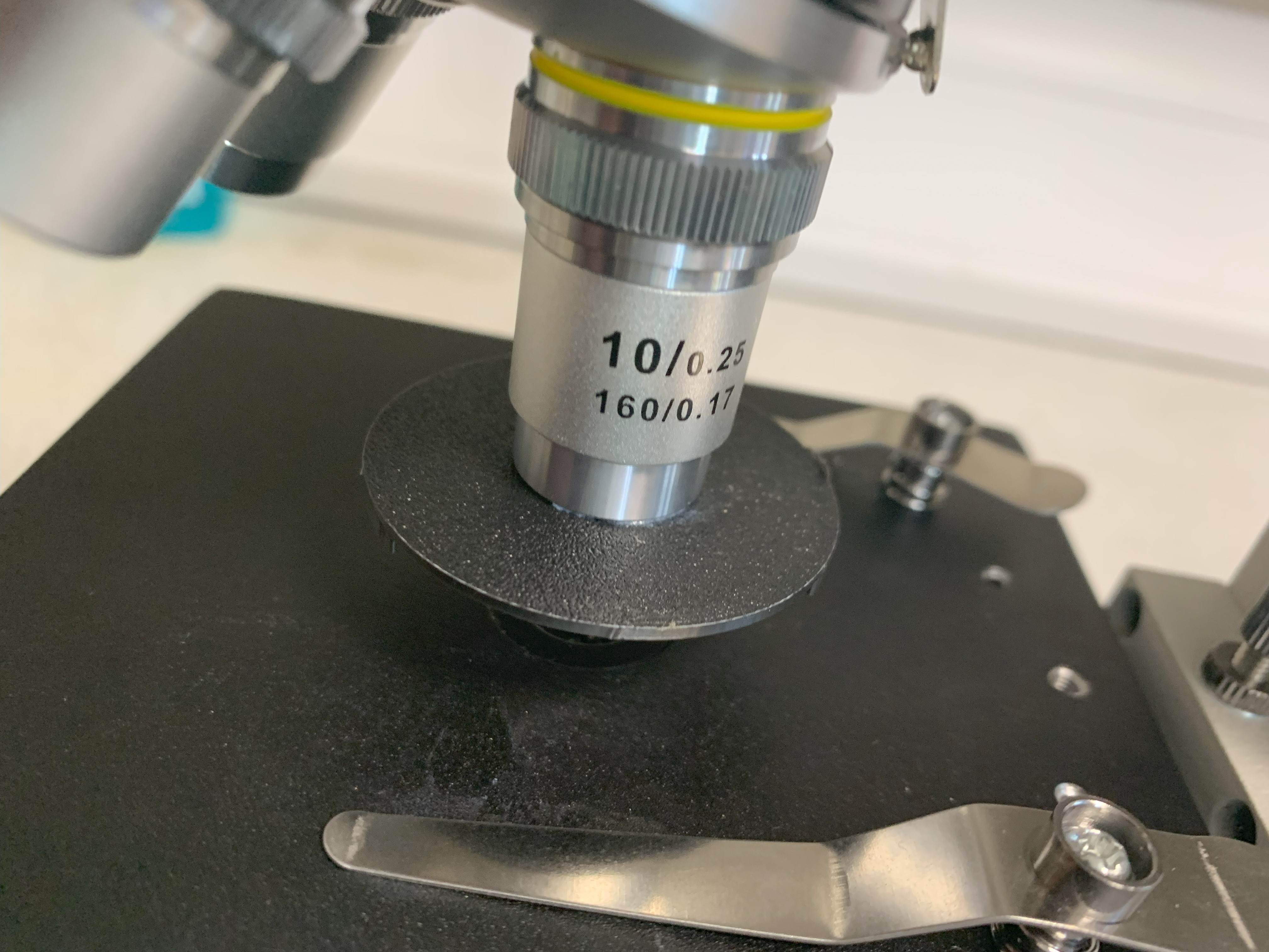 Microscope slide/lens protector by Natwoo | Download free STL model ...