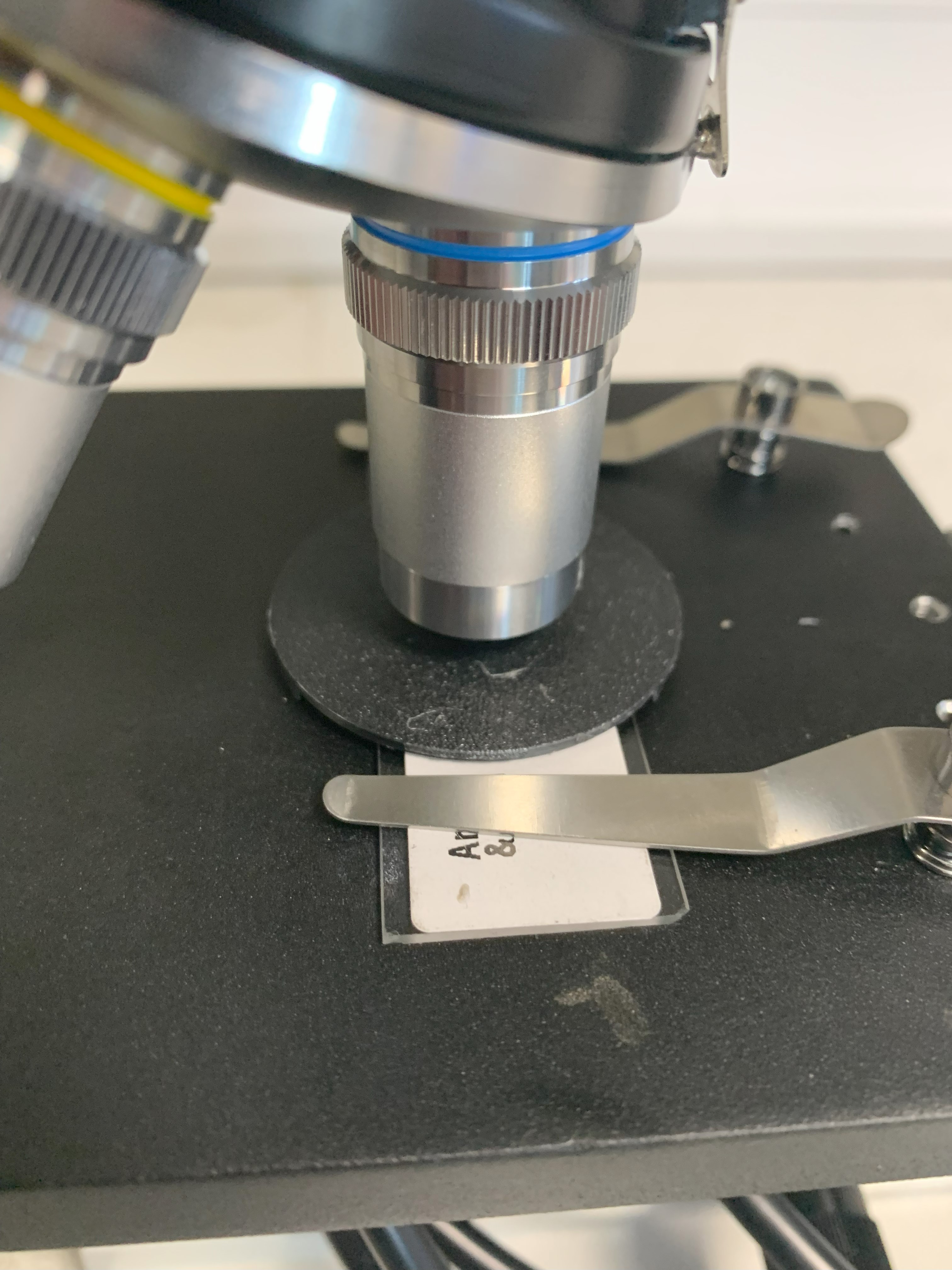 Microscope slide/lens protector by Natwoo | Download free STL model ...